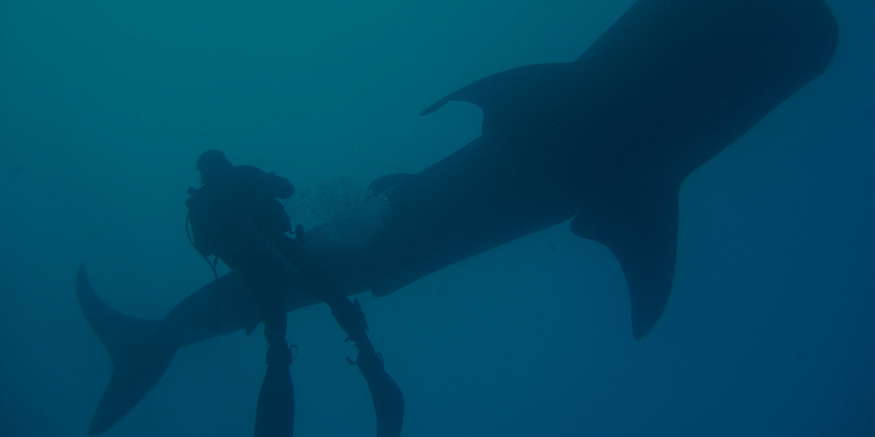 Belize Sustainable Travel & Ecotourism | Galapagos.com